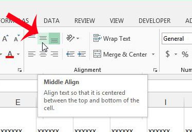 Cómo centrar verticalmente los datos celulares en Excel 2013